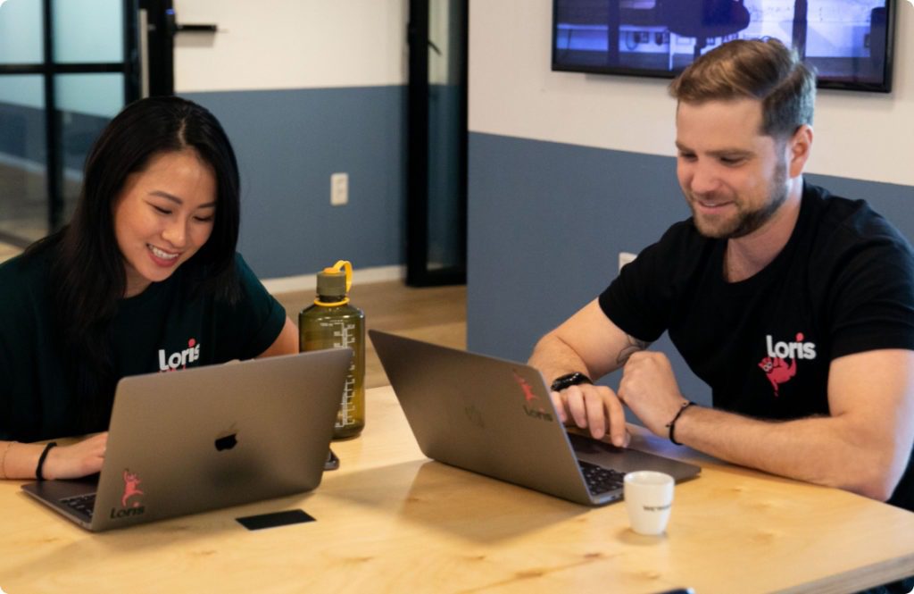 Customer Insights - Loris – Conversational Intelligence for Leading Brands