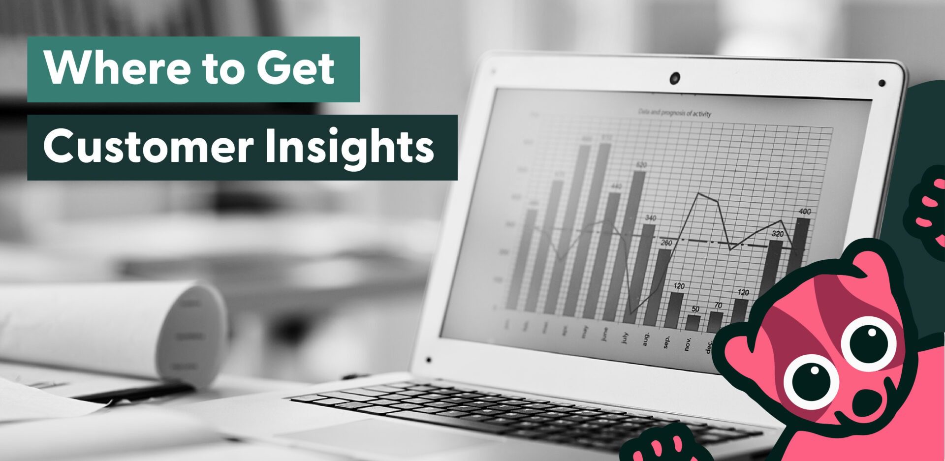 Everything You Need For Actionable Customer Insights