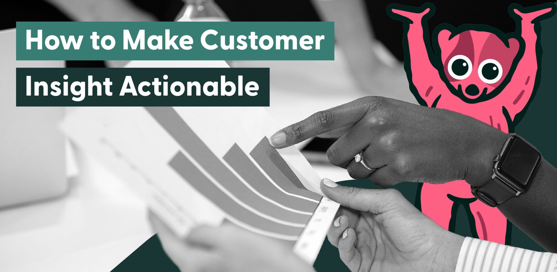 Everything You Need For Actionable Customer Insights