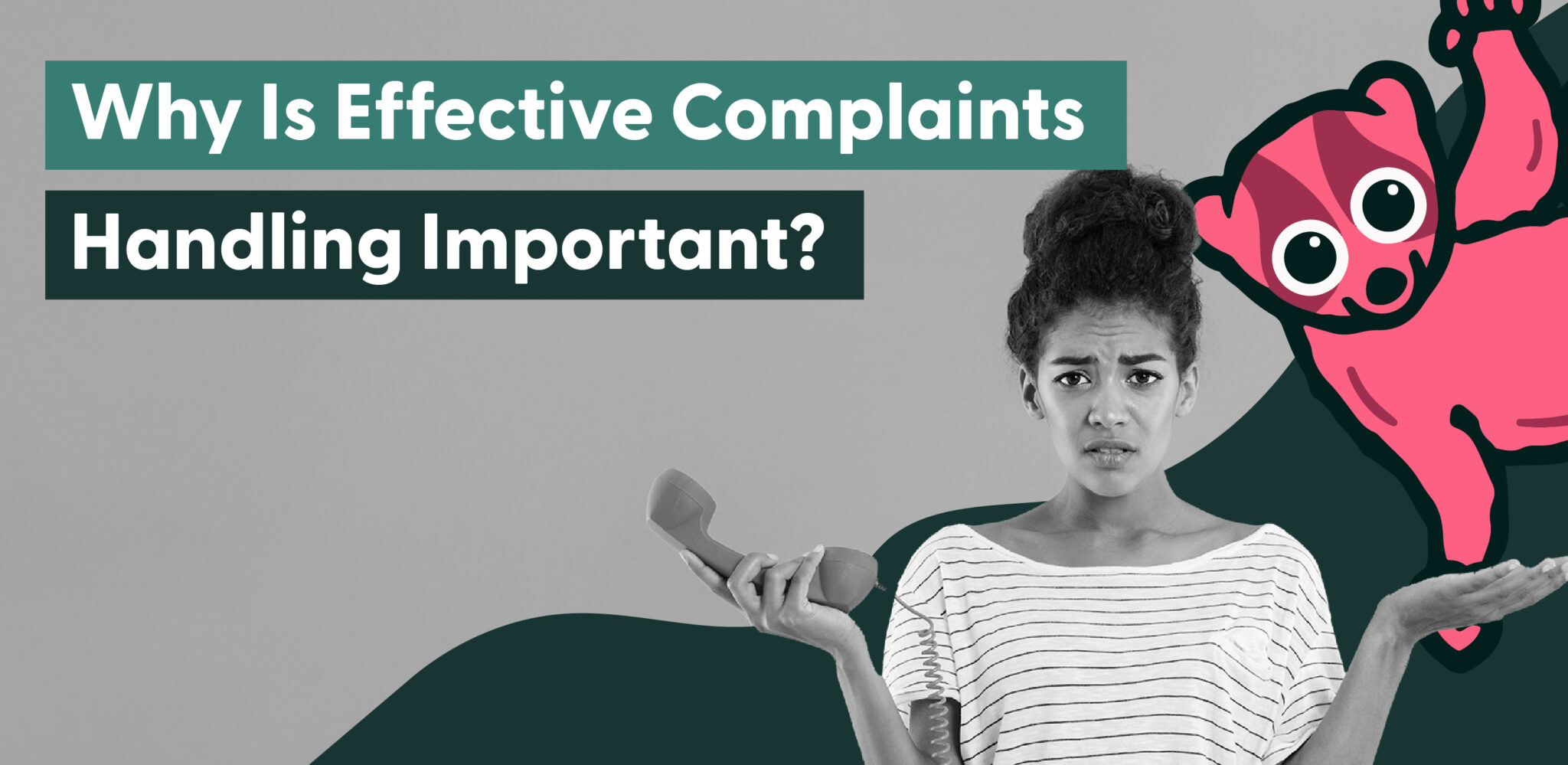 Customer Complaints Handling Guide | Loris